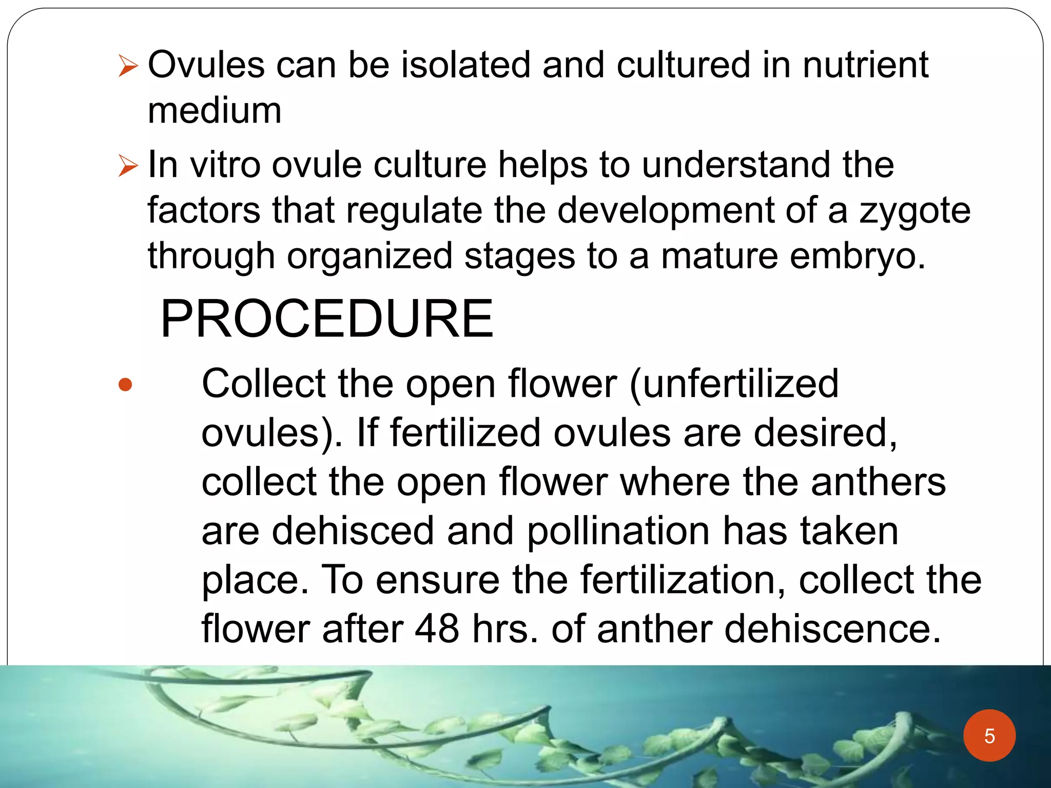Culture of ovule and ovary | PPTX