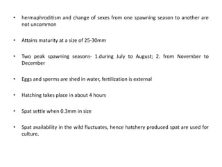 CULTURE OF PEARL OYSTERS.pptx | Zoos & Aquariums | Attractions