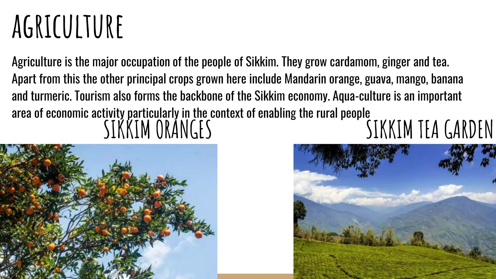 CULTURE OF SIKKIM.pptx