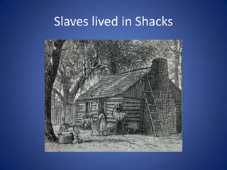 Culture of Slavery in the South | PPT