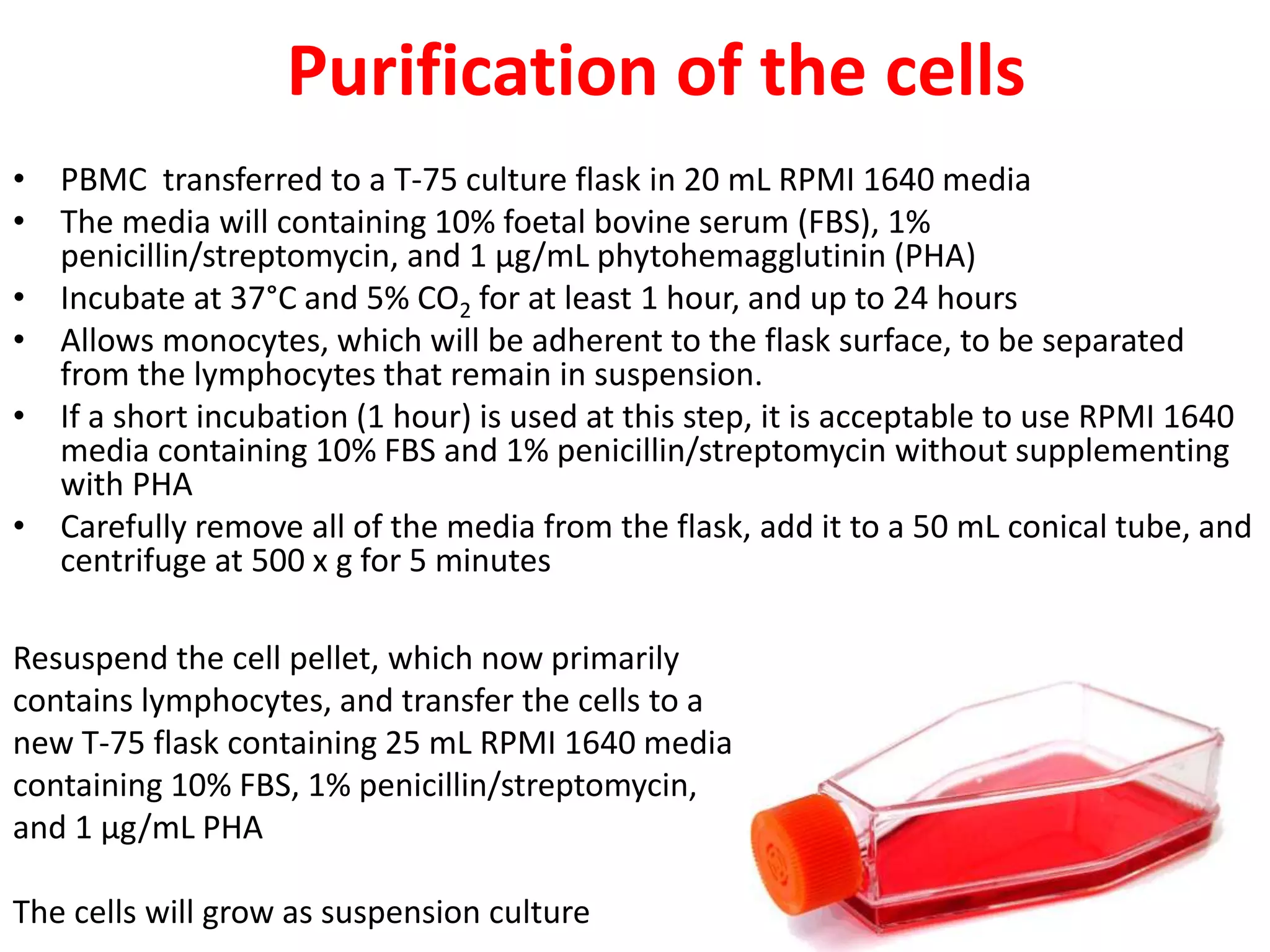 Culture of specialised cells | PPTX