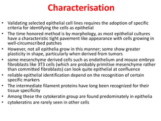 Culture of specialised cells | PPTX