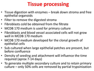 Culture of specialised cells | PPTX
