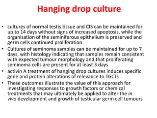 Culture of specialised cells | PPTX