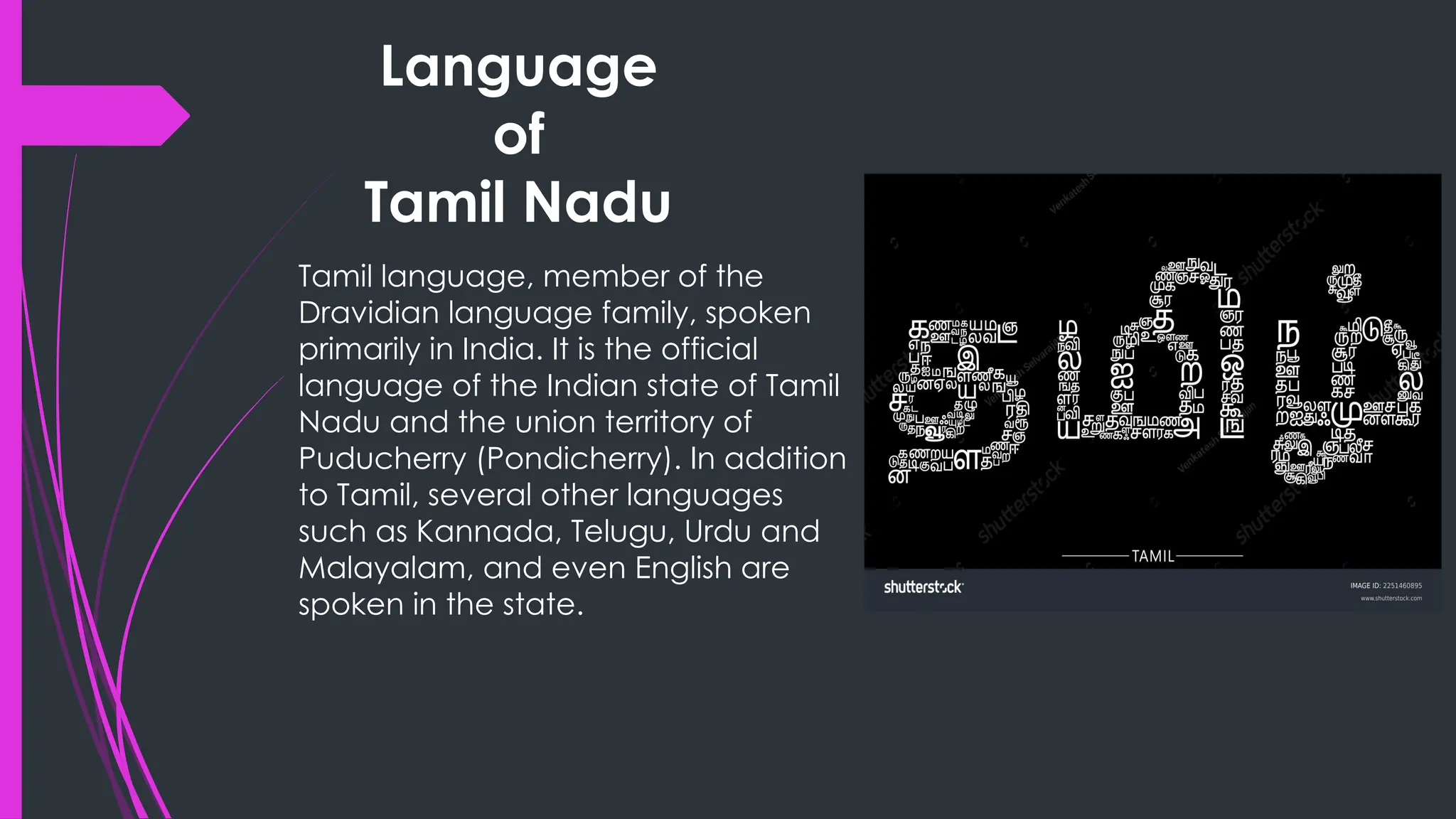 Culture of tamilnadu and west bengal.pptx