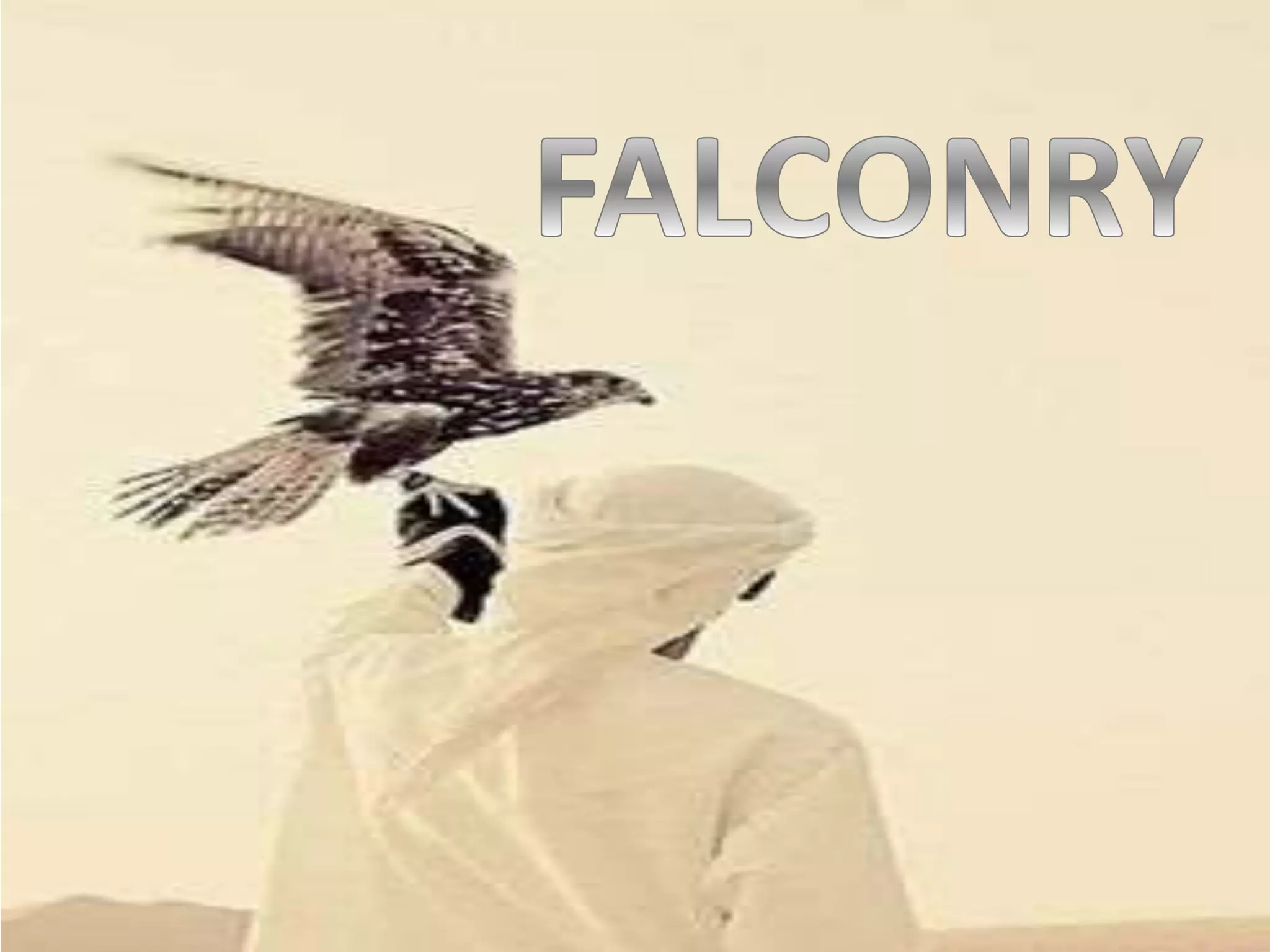 UAE Culture ppt | PPTX