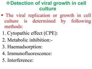 Cultivation of viruses through Egg inoculation methods PPT.pptx