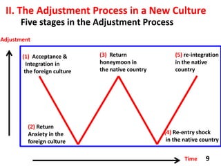Culture and Language - Culture Shock | PPTX