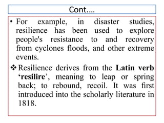 Culture, Risk and Resilience | PDF