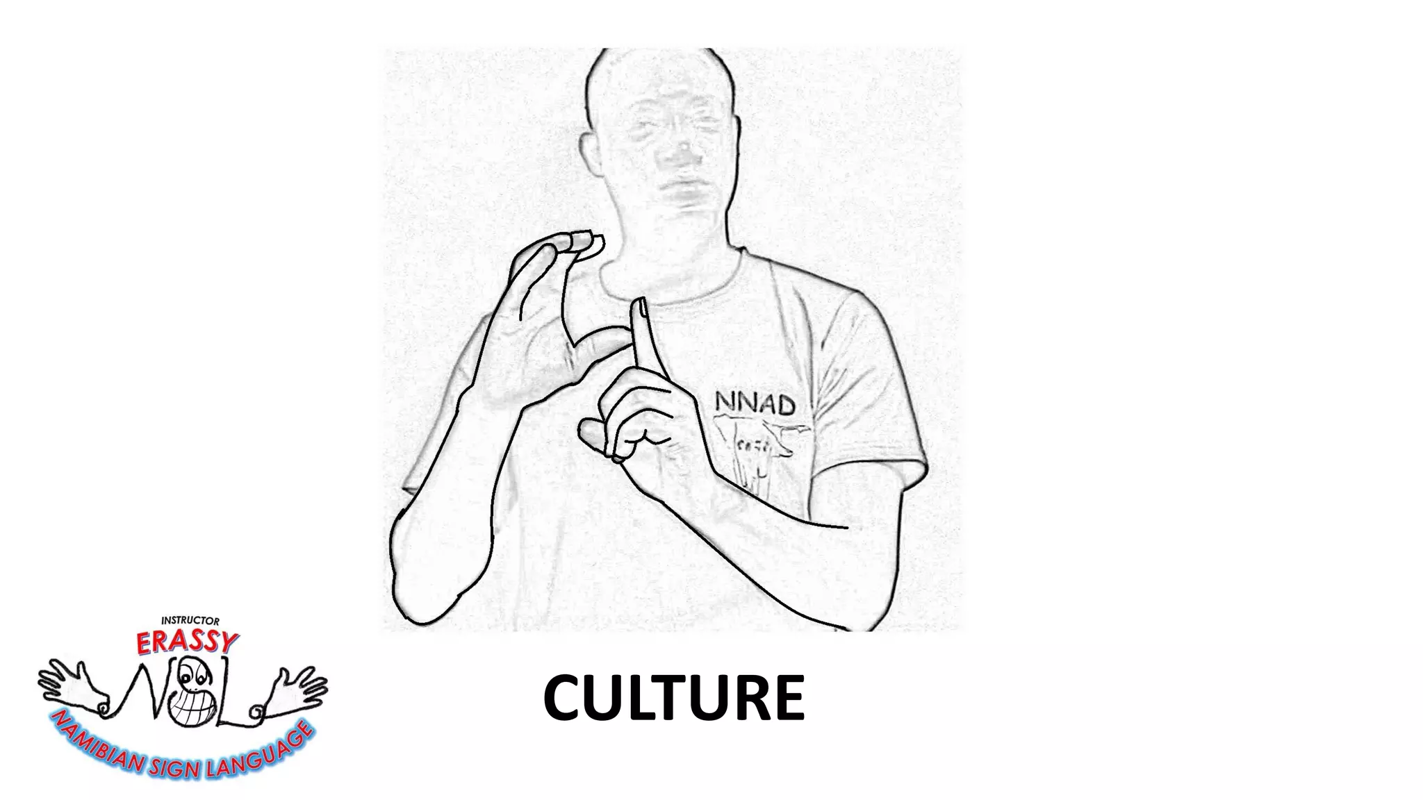 Cultures and languages in Namibia (Namibian Sign Language NSL) | PDF