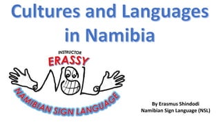 Cultures and languages in Namibia (Namibian Sign Language NSL) | PDF