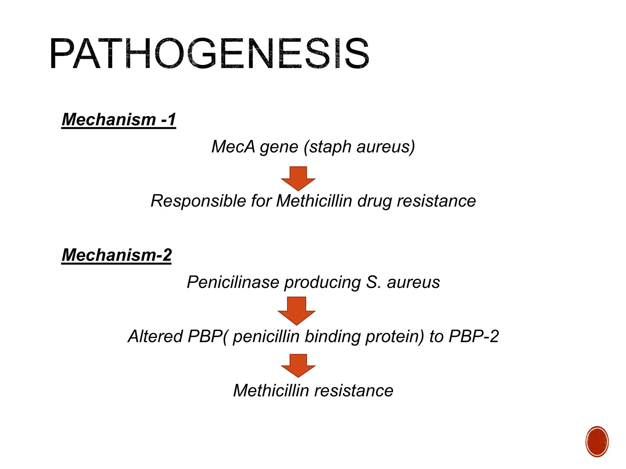 MRSA- Methicillin resistance Staphylococcus aureus | PPTX