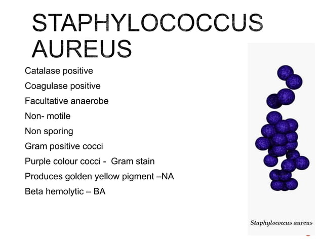MRSA- Methicillin resistance Staphylococcus aureus | PPTX | Chemistry | Science