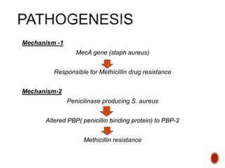MRSA- Methicillin resistance Staphylococcus aureus | PPTX