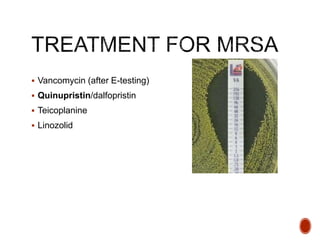 MRSA- Methicillin resistance Staphylococcus aureus | PPTX | Chemistry | Science