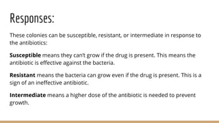 Culture sensitivity tests by ayesha asif ali | PPTX
