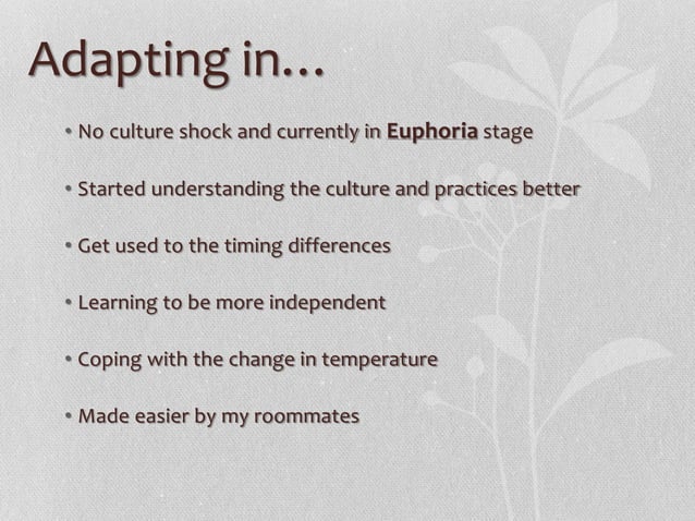 Culture Shock | PPTX