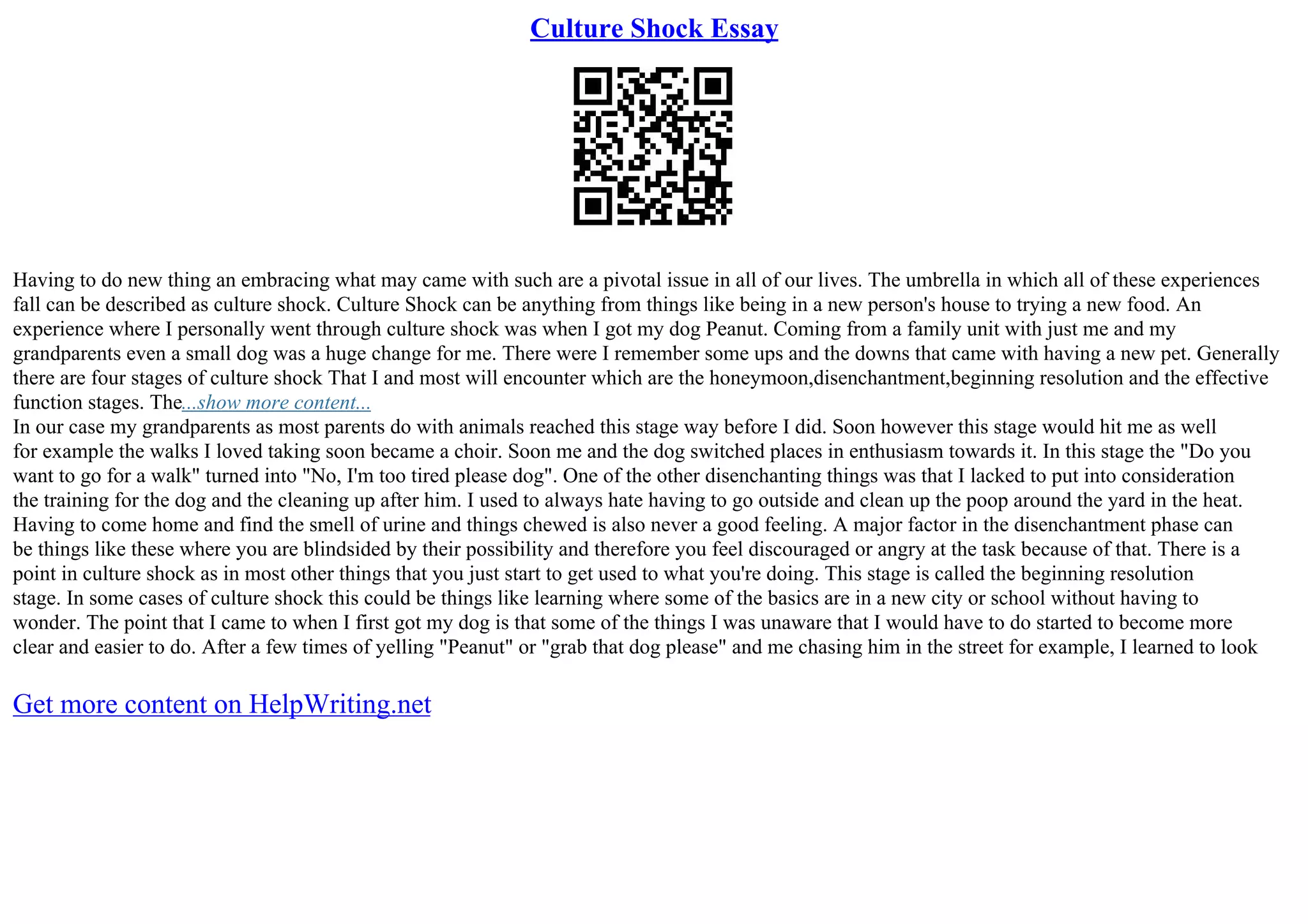 Culture Shock Essay | PDF