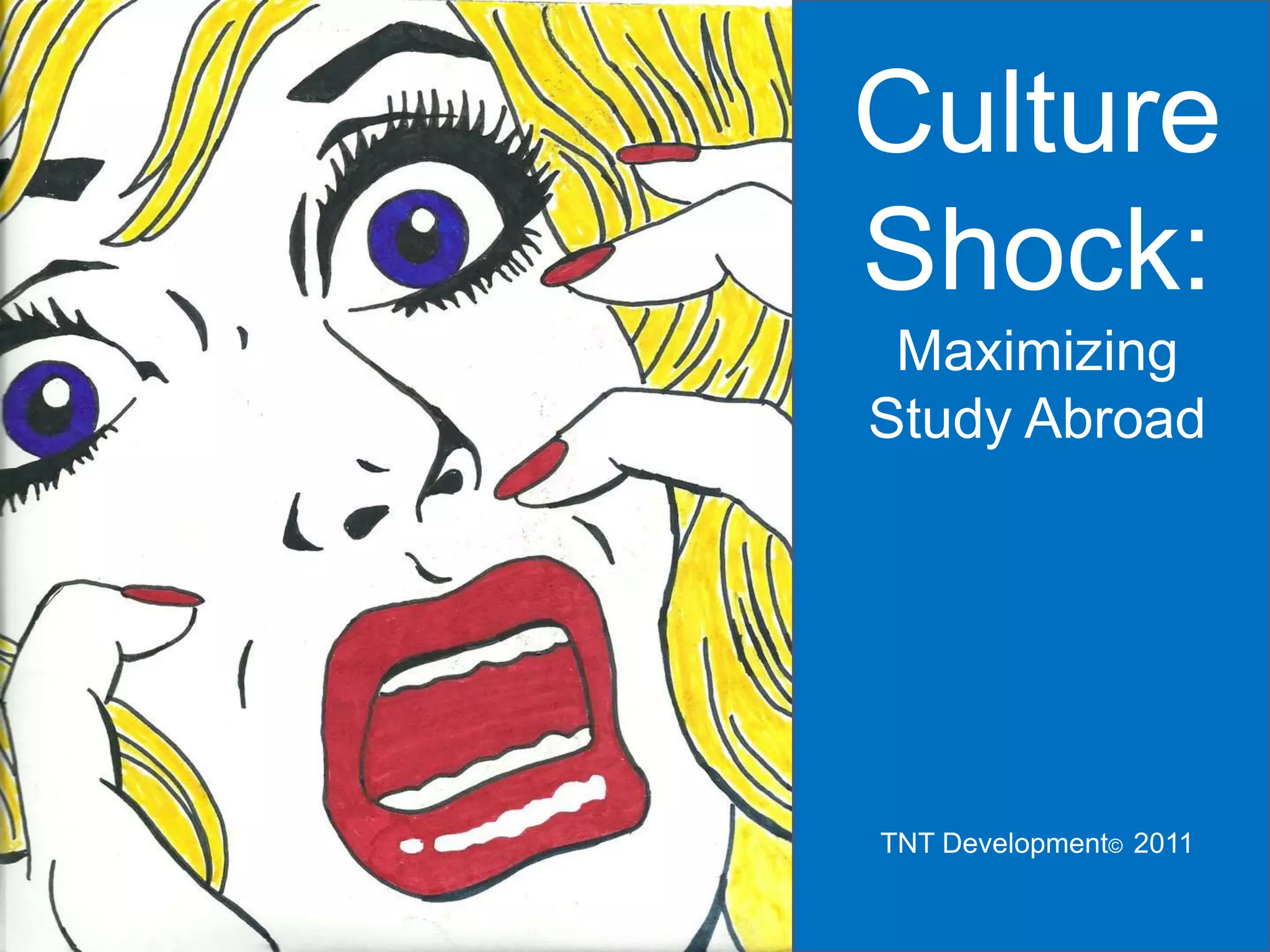 Culture shock study abroad predeparture training | PPSX