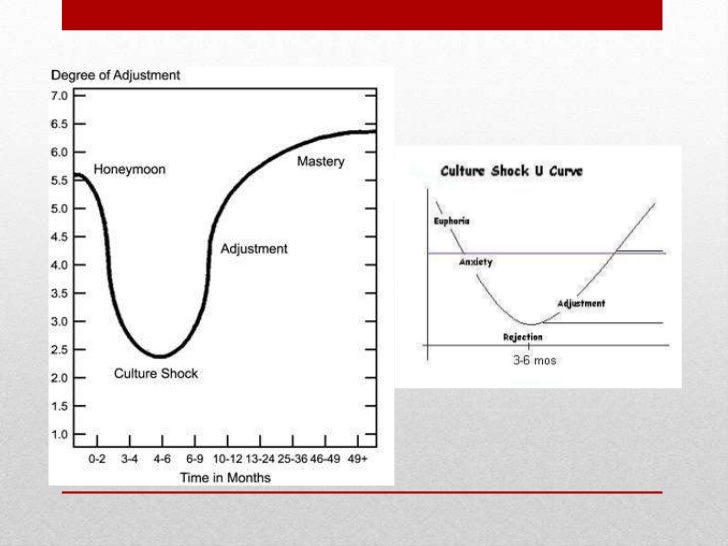 Culture shock theory