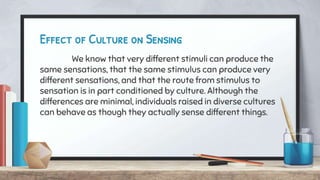 Culture's Influence on Perception | PPTX