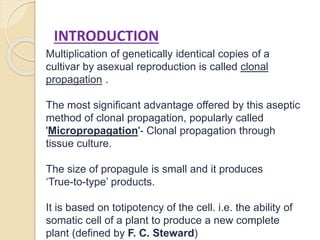 Culture stage 1 initiation stage | PPTX