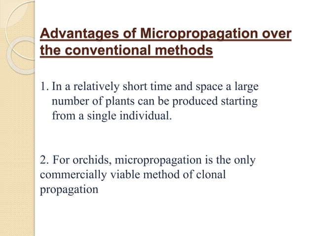 Culture stage 1 initiation stage | PPTX