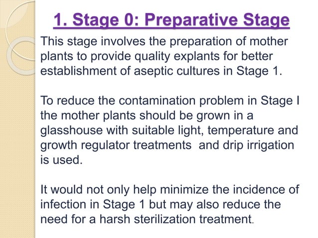 Culture stage 1 initiation stage | PPTX