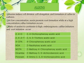 Plant Tissue Culture stage iii rooting | PPT