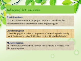 Plant Tissue Culture stage iii rooting | PPTX