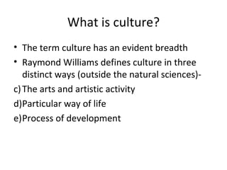 Culture studies intro | PPT