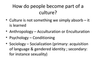 Culture studies intro | PPT