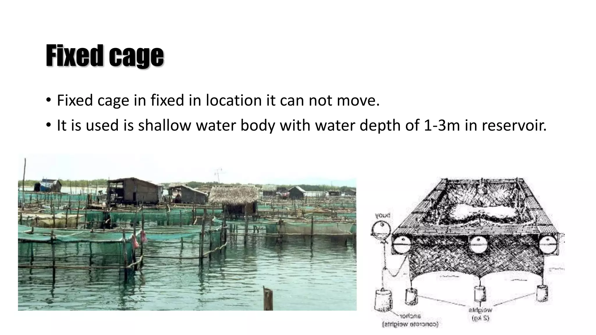 culture system - semi intensive, intensive, super intensice and cage.pptx