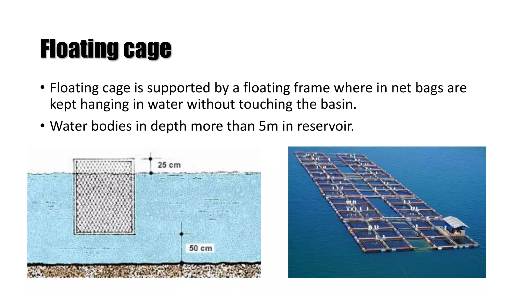 culture system - semi intensive, intensive, super intensice and cage.pptx