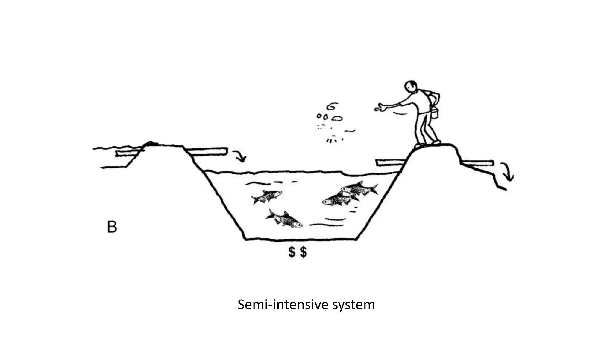culture system - semi intensive, intensive, super intensice and cage.pptx