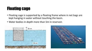 culture system - semi intensive, intensive, super intensice and cage.pptx