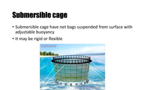 culture system - semi intensive, intensive, super intensice and cage.pptx