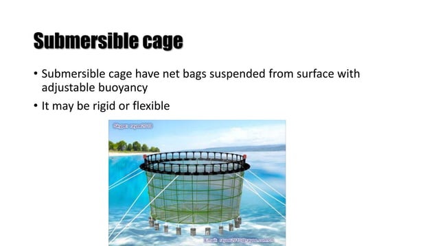 culture system - semi intensive, intensive, super intensice and cage.pptx