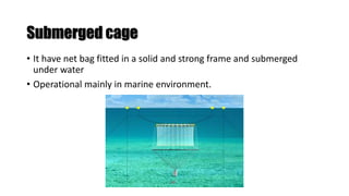 culture system - semi intensive, intensive, super intensice and cage.pptx