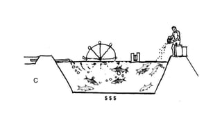 culture system - semi intensive, intensive, super intensice and cage.pptx