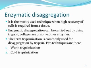 Culture techniq and type of animal cell culture | PPT