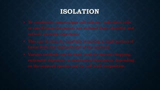 culture techniques of marine microalgae.pptx