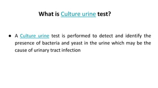Urine Culture test | PPTX