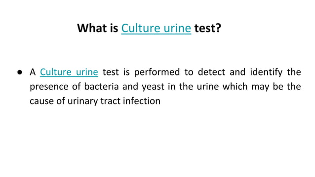 Urine Culture test | PPTX