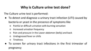 Urine Culture test | PPTX