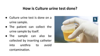Urine Culture test | PPT