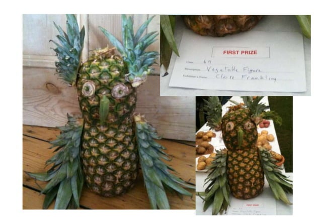 Claire in the Community | PPTX