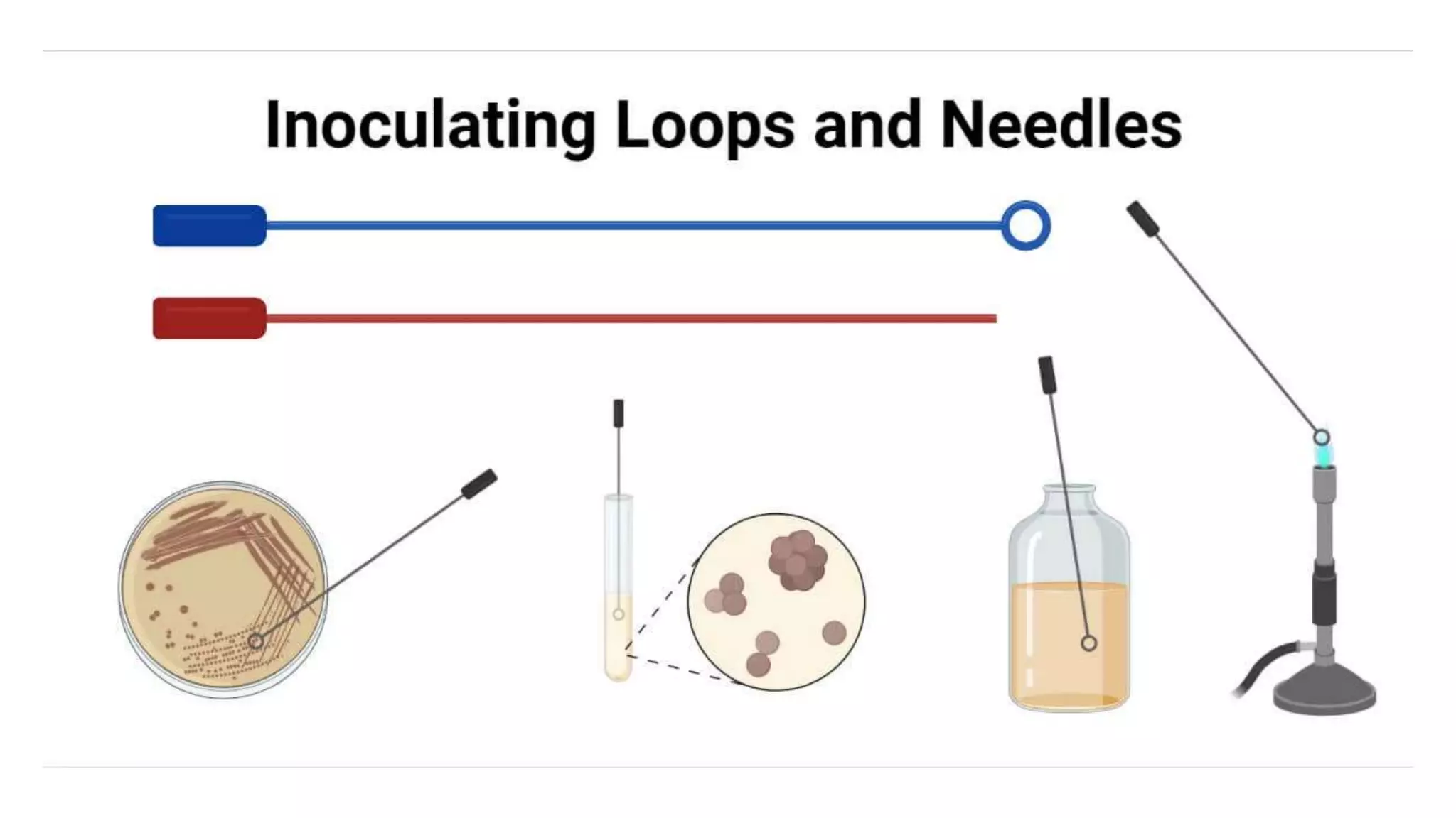 Culturing and inculation techniques used in Bacteriology.pptm.pptx