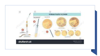 Culturing and inculation techniques used in Bacteriology.pptm.pptx