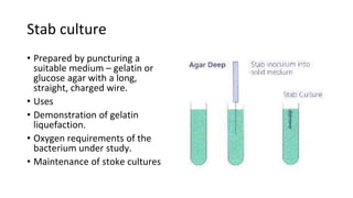 Culturing and inculation techniques used in Bacteriology.pptm.pptx